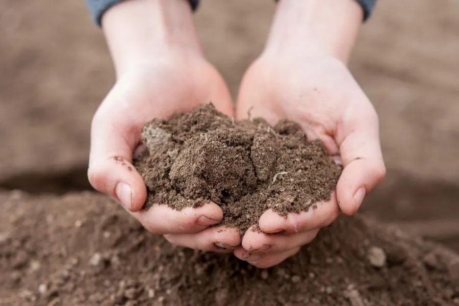 Ανάλυση εδάφους: ερμηνεία των αποτελεσμάτων και τρόπος παραλαβής ...